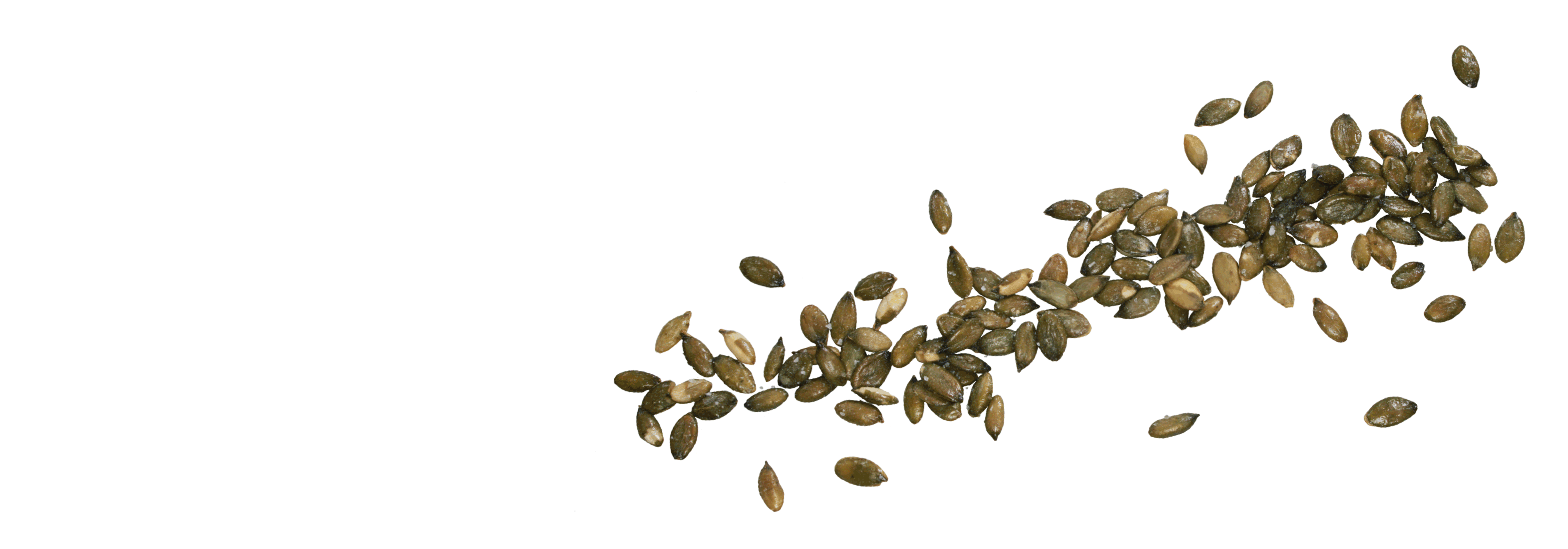 Top Fox Snacks | Pop-Roasted Pumpkin Seeds